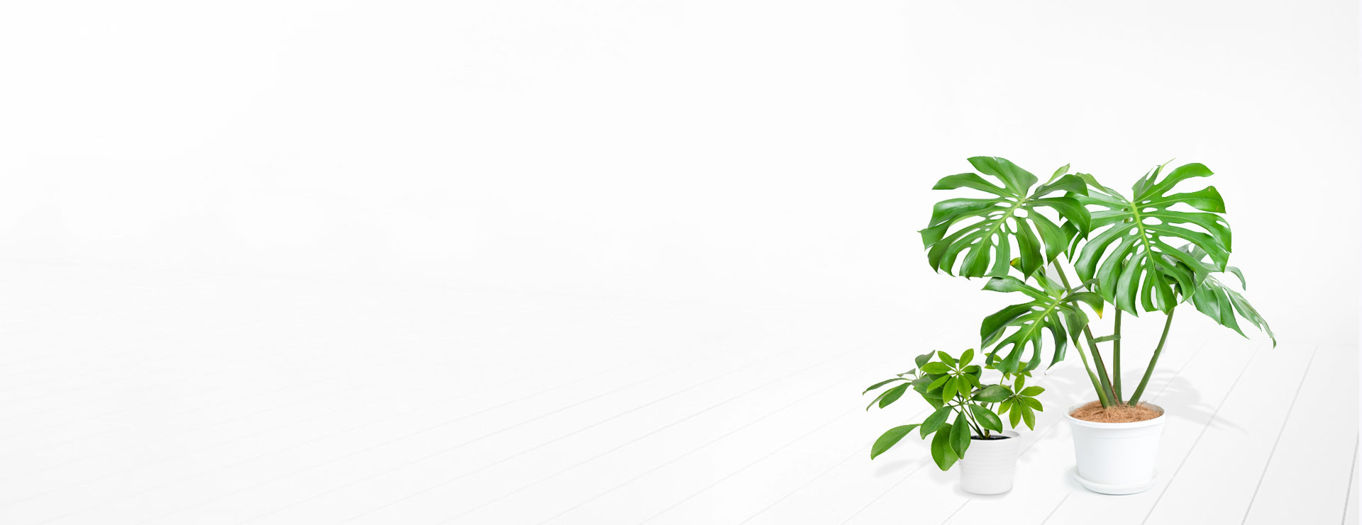 WEB sprendimai, parduotuvių kūrimas ir priežiūra - 7web.lt